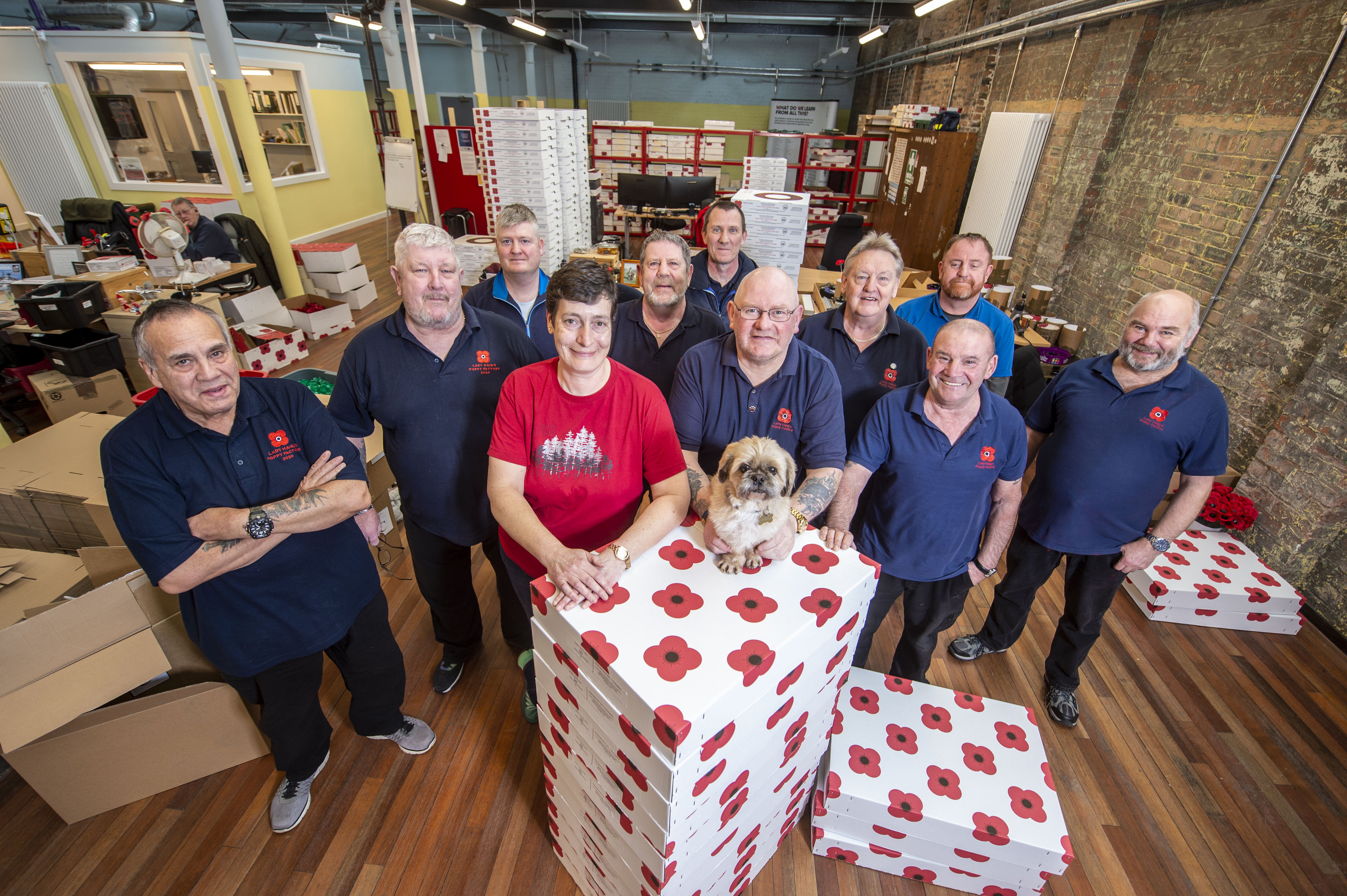 Lady Haig's Poppy Factory